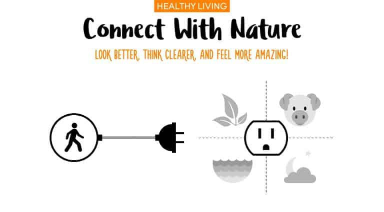 HEALTHY LIVING - Connect With Nature | Successful Spirit