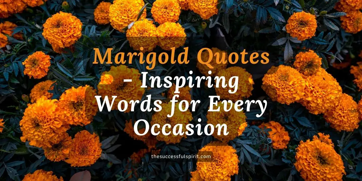 Quotes For Marigold Flower at Eileen Porras blog
